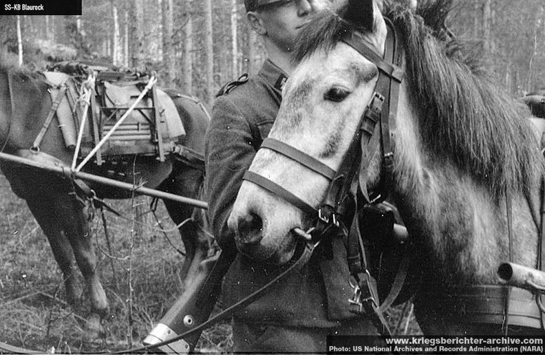 KB Blaurock 074 | SS-Kriegsberichter Archive